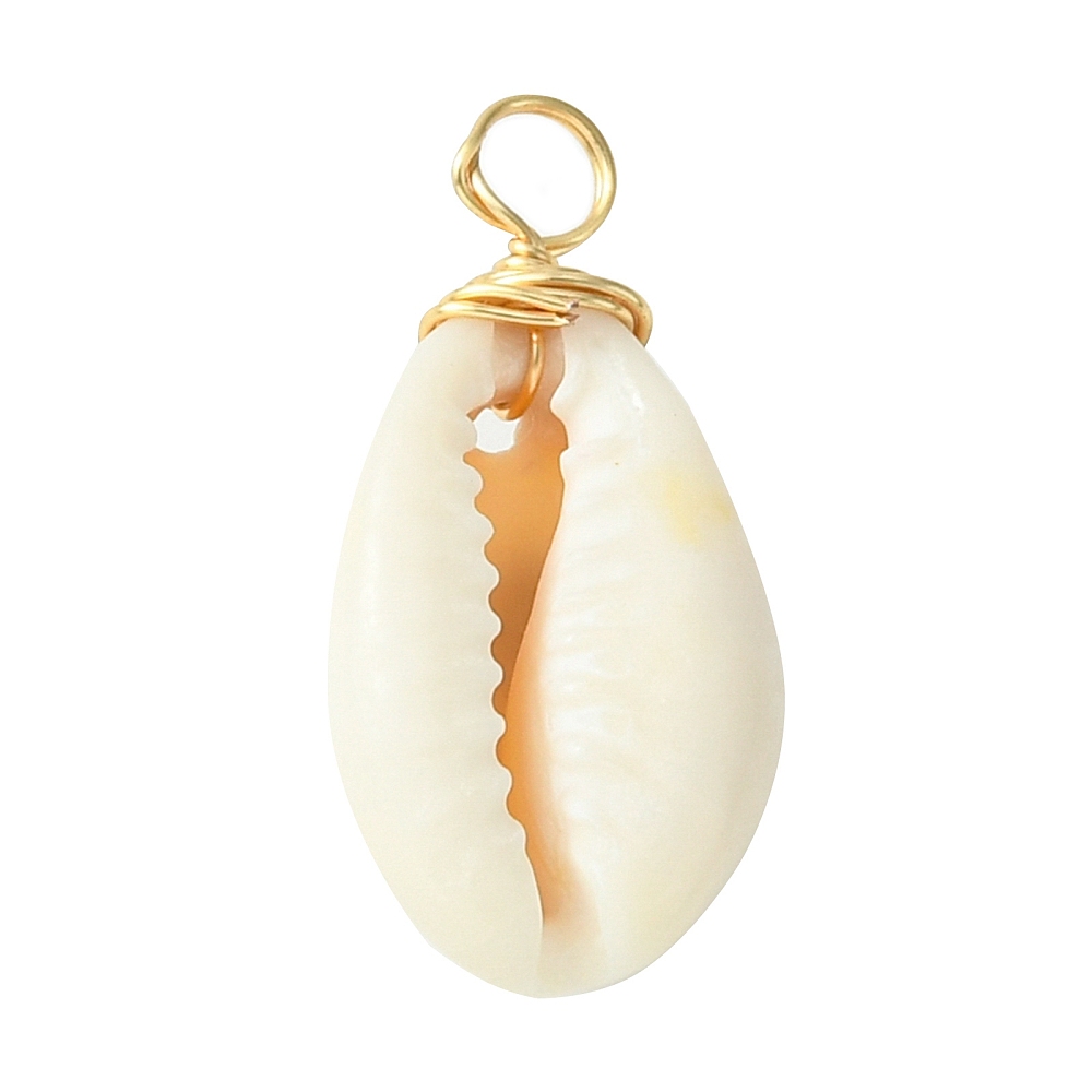 Golden Cowrie Shell
