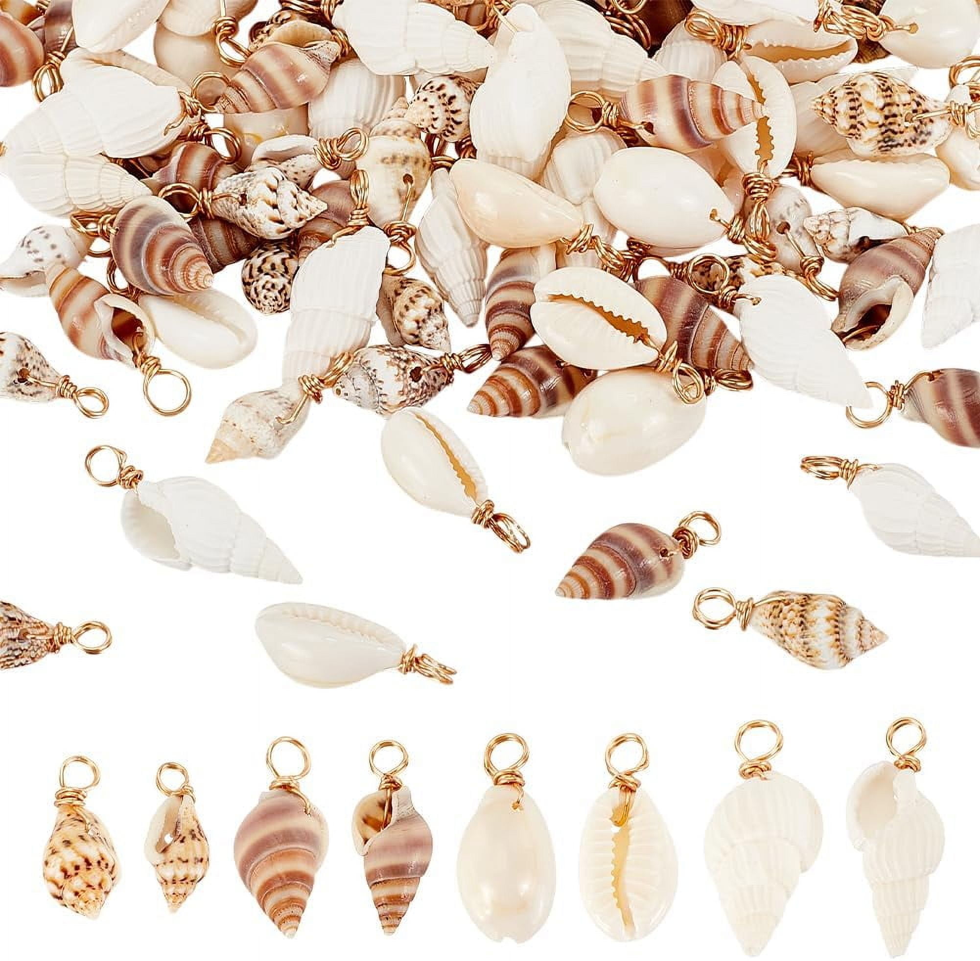 100pcs 4 Styles Natural Shell Charms Pendants Seashells Link for Necklace Bracelet Jewelry ...