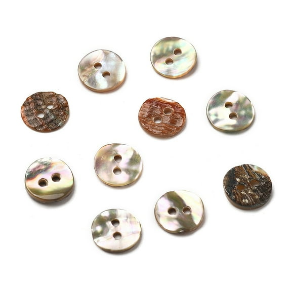 100pcs Abalone Shell/Paua Shell Flat Round 2-Hole Coral 10x1.5mm Hole ...