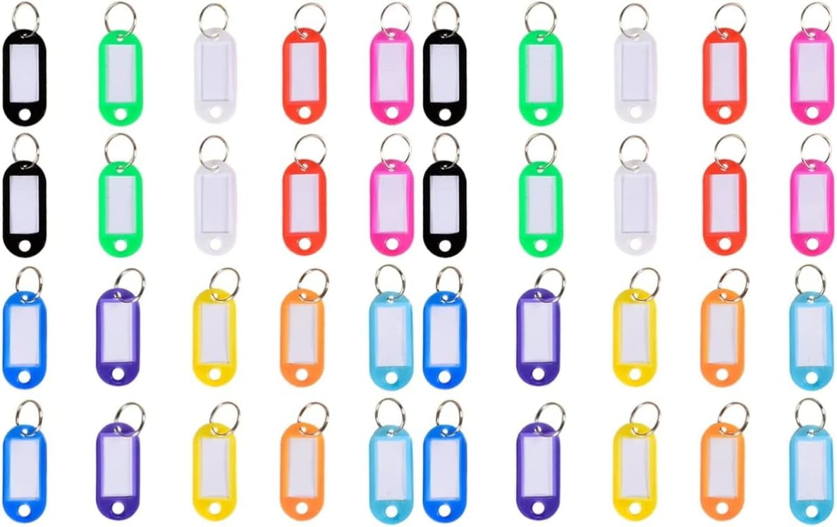 100pcs Classification Tags Labels Hanging Name Window and with Tag ...