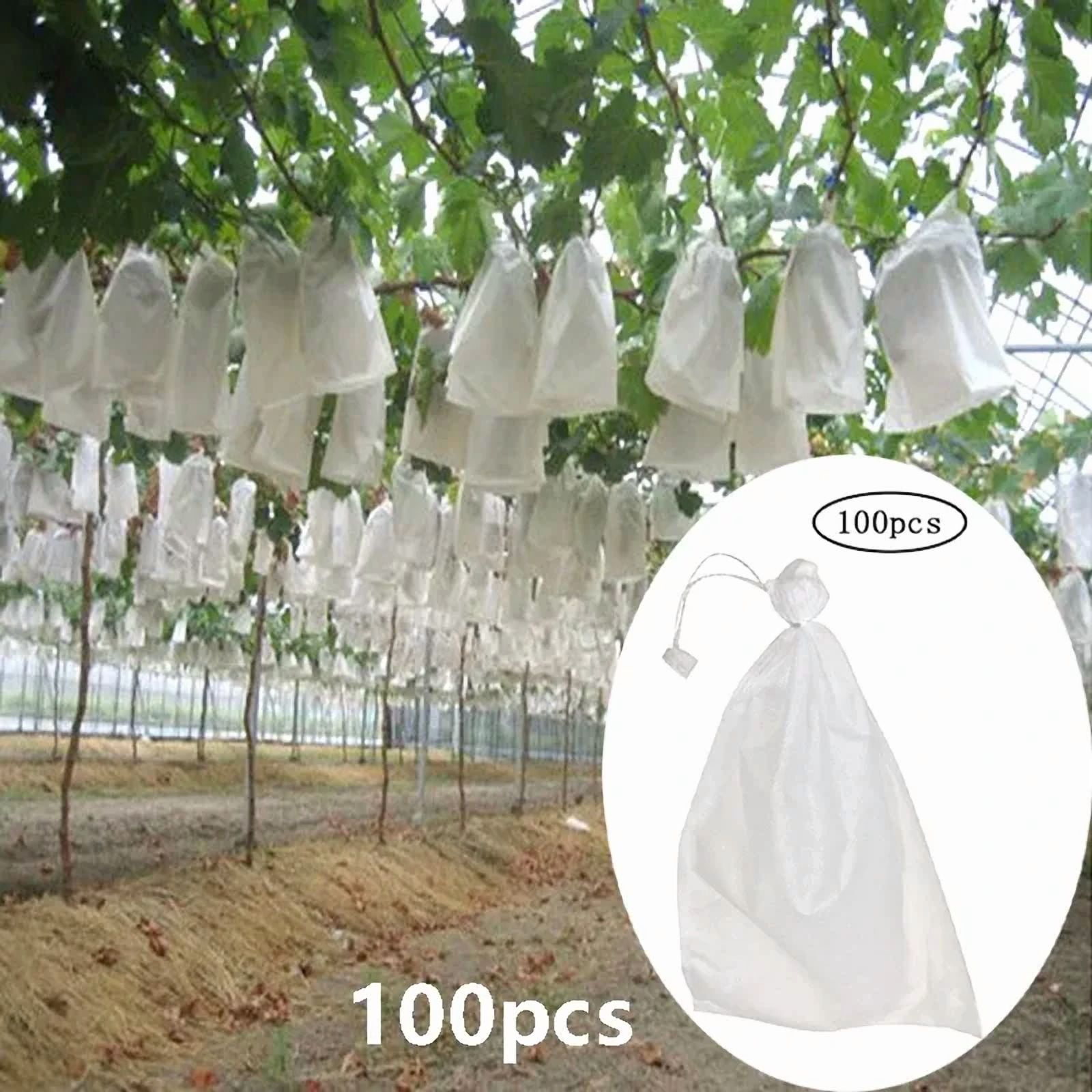 100pcs Garden Strawberry Grapes Fruit Protection Bags Cover Plant ...