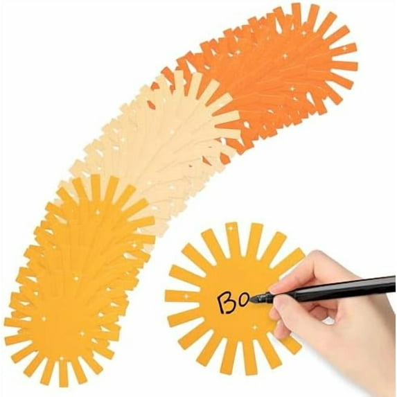 100pcs Glitter Boho Sun Cutouts First Trip Around The Sun Bulletin ...