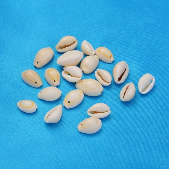 100pcs Natural Cowrie Shell Beads Dyed Seashell color Size: about 10 ...