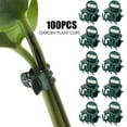 100pcs Phalaenopsis Flower Support Clips, Wire Vine Branch Clamps ...