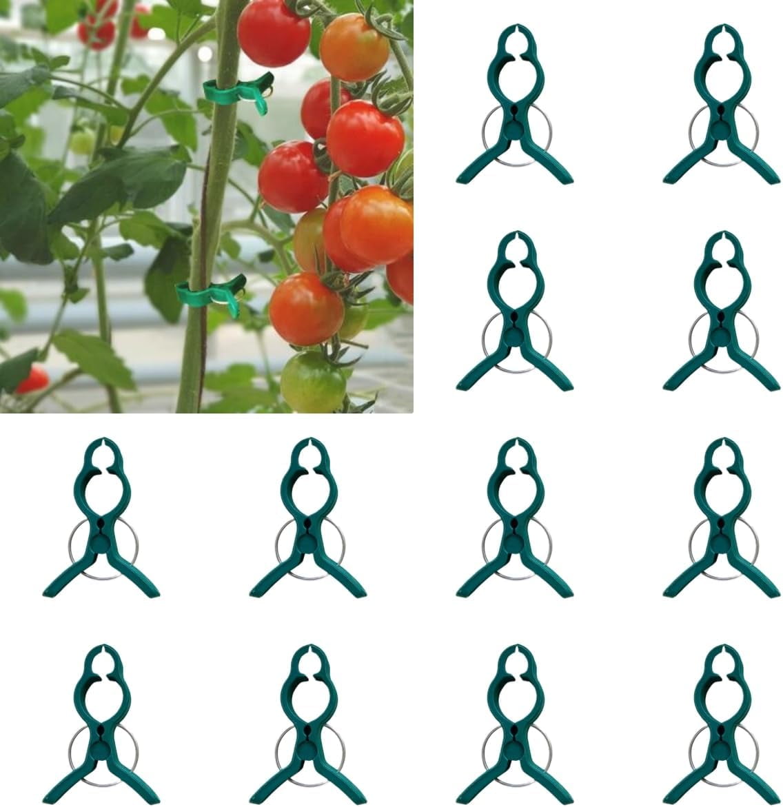 100pcs Plant Support Clips Fruit Vegetable Flower and Small Plant ...