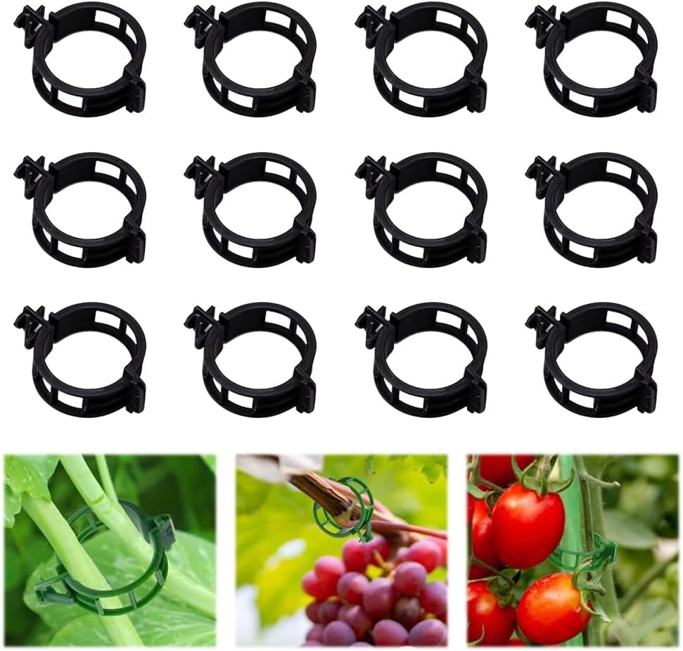 100pcs Plant Support Clips for Climbing Plants, Reusable Plastic ...