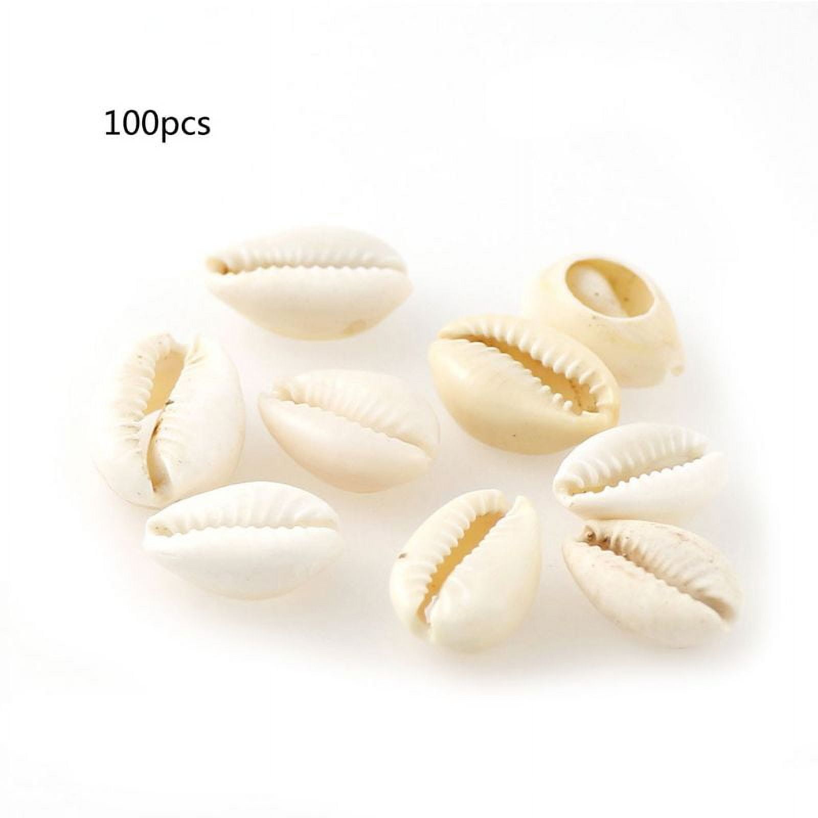 100pcs Solid Color Cut Natural Sea Shells for Jewelry Making Diy Crafts ...