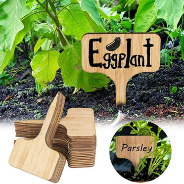 1 set Wood Plant Labels for Seed Potting Herbs Flowers Vegetables Name ...