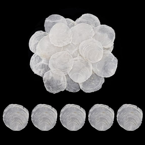 100pcs Undrilled Capiz Shells 2~3.5 inch Large Shells Natural Capiz Sea ...