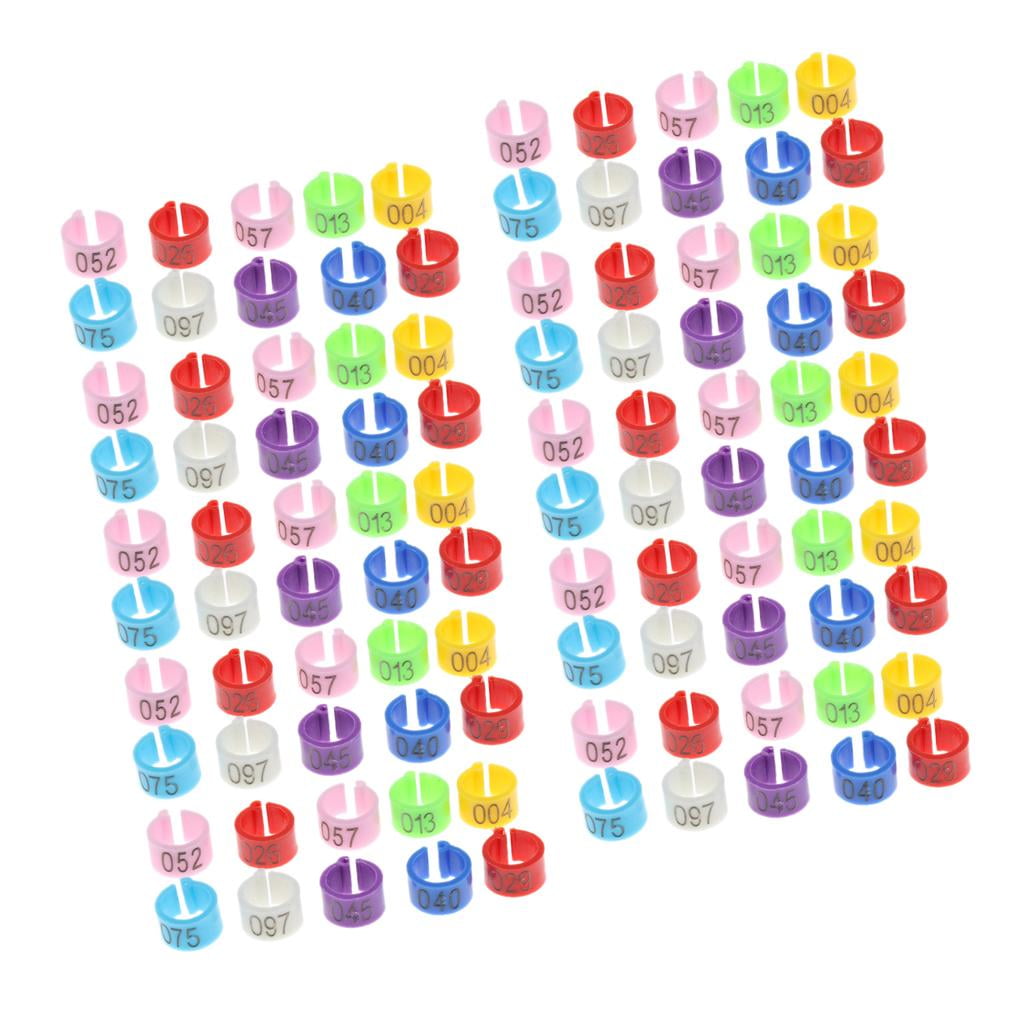 100s Bird Leg Bands Parrot Chicks Duck Band Color - Walmart.com