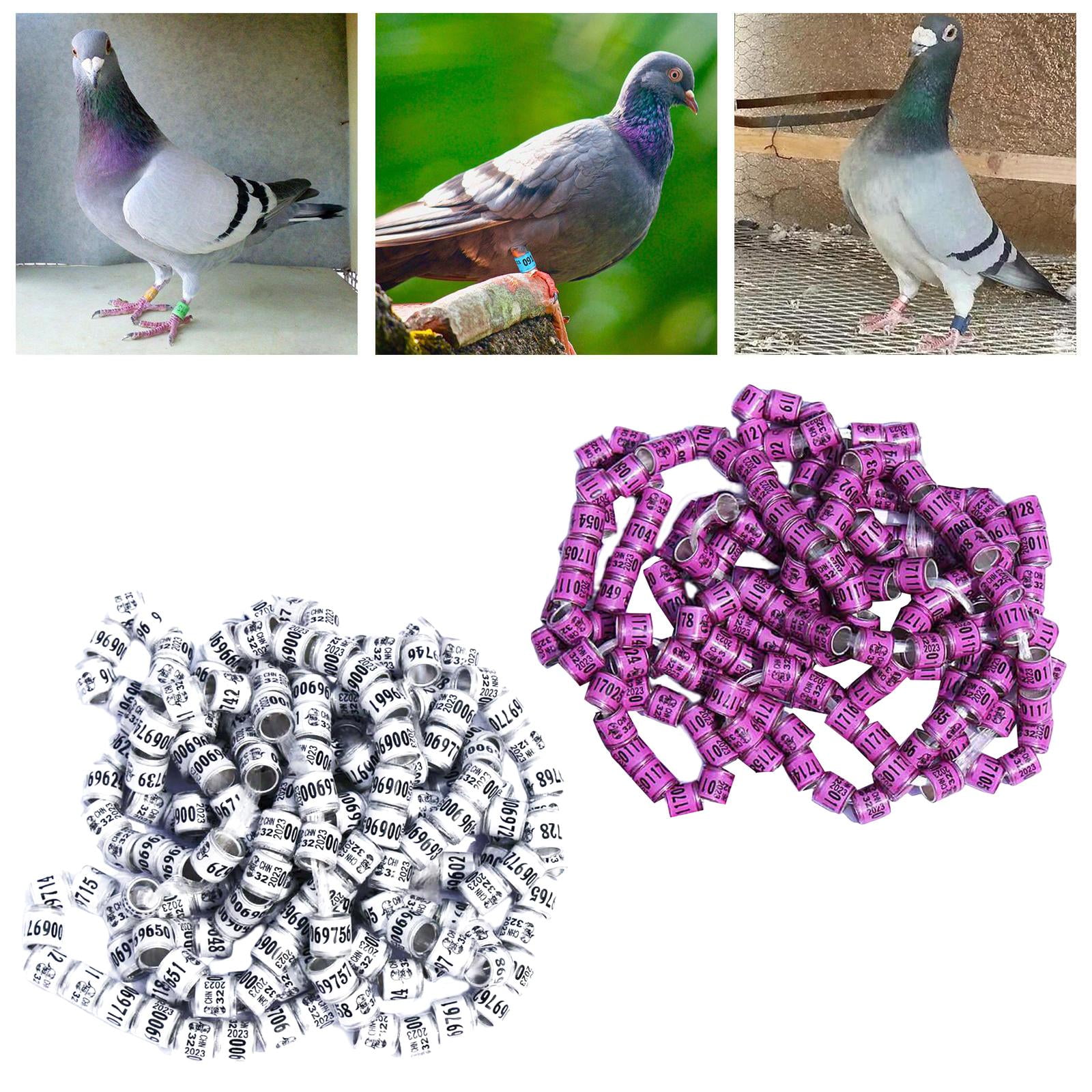 100x Aluminium Pigeons Leg Rings Dove Foot Bands Identification for ...
