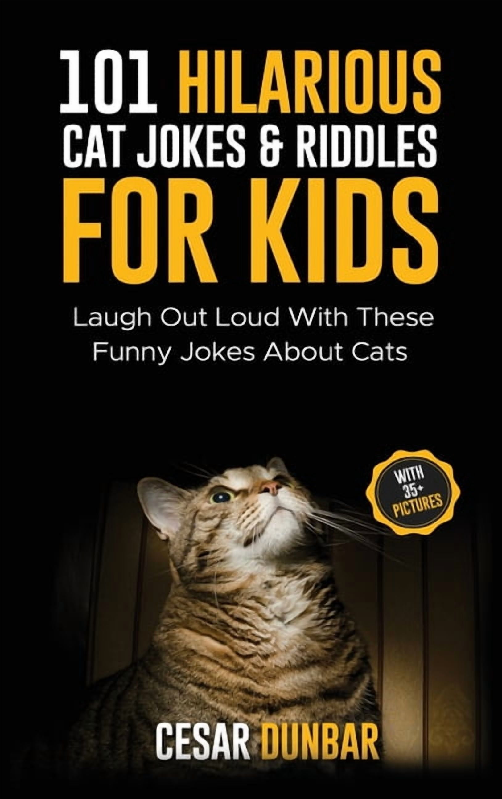 101 Hilarious Cat Jokes & Riddles For Kids: Laugh Out Loud With These ...