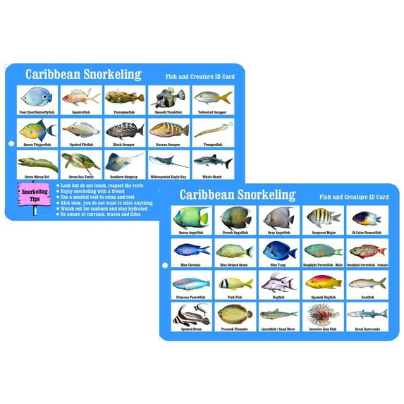 101SNORKEL Caribbean Snorkeling Fish and Creature ID Card - Walmart.com
