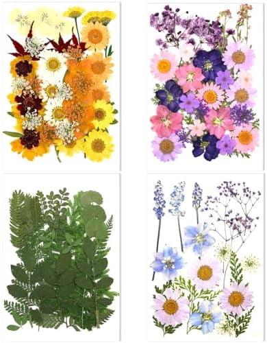 106 Pieces Assorted Real Dried Pressed Flowers Leaves Natural Dry ...