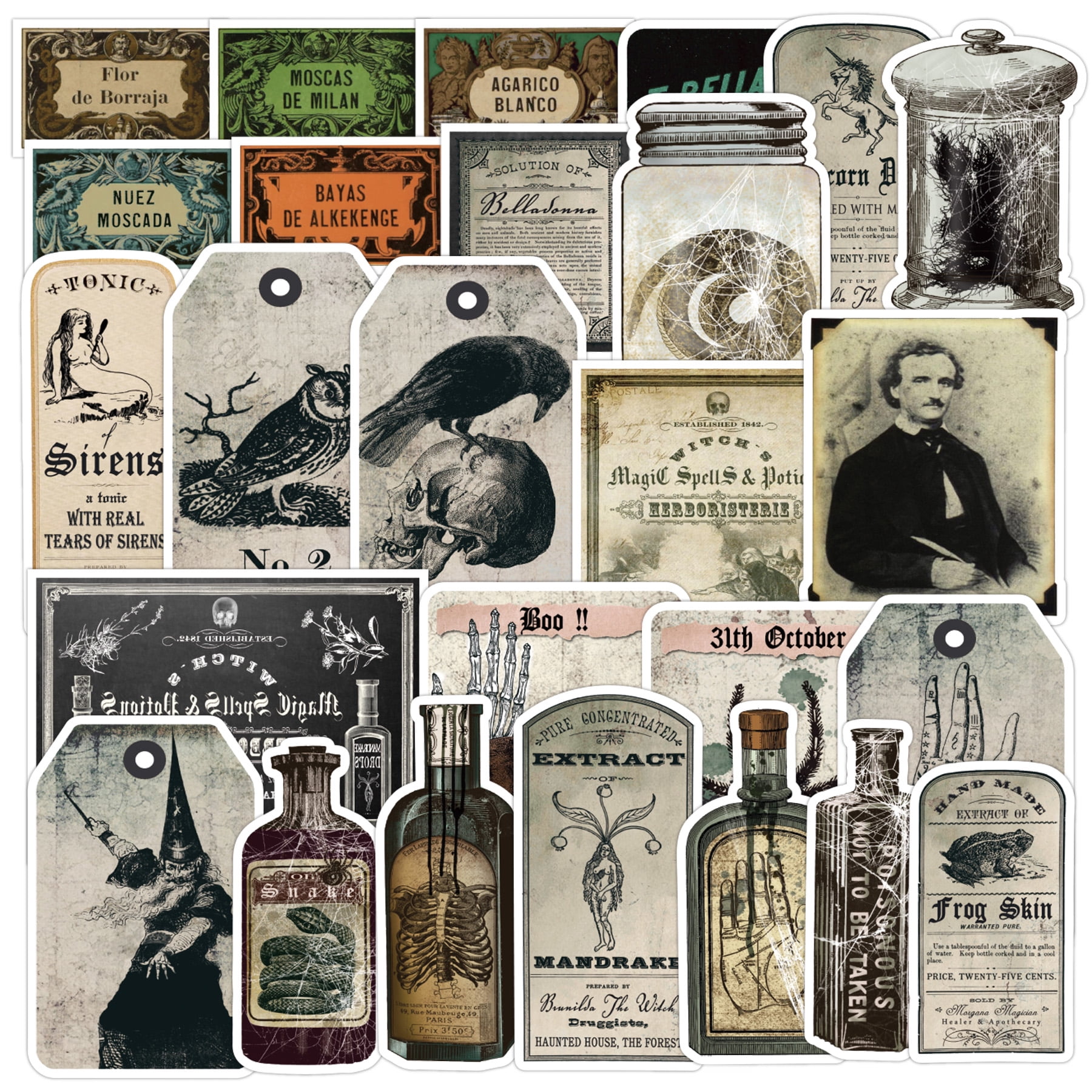 108 PCS Witchcraft Stickers Pack Mystical Botanical Vintage Style ...