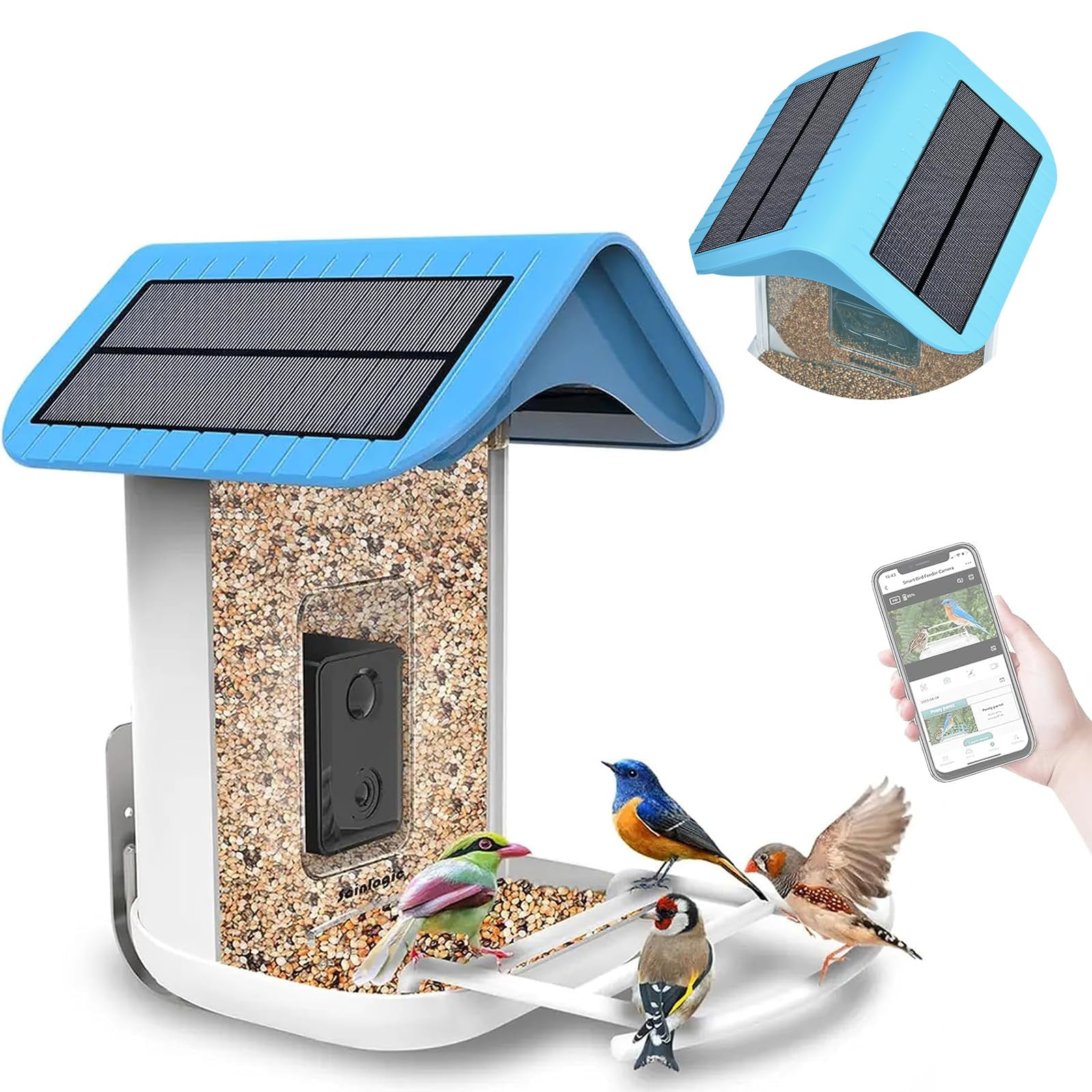 1080P Smart Bird Feeder with Camera, Solar-Powered, Wireless, IR Night ...
