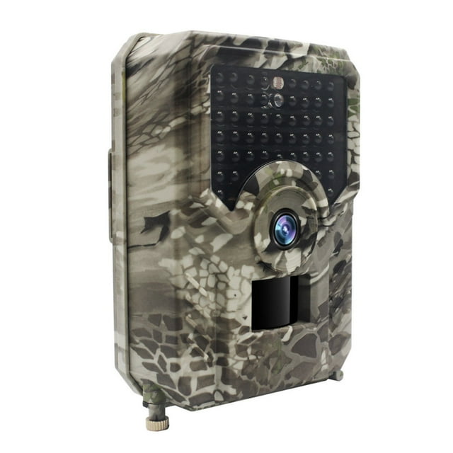 1080P Wildlife Camera - Infrared Night Vision Motion Detector - IP66 ...