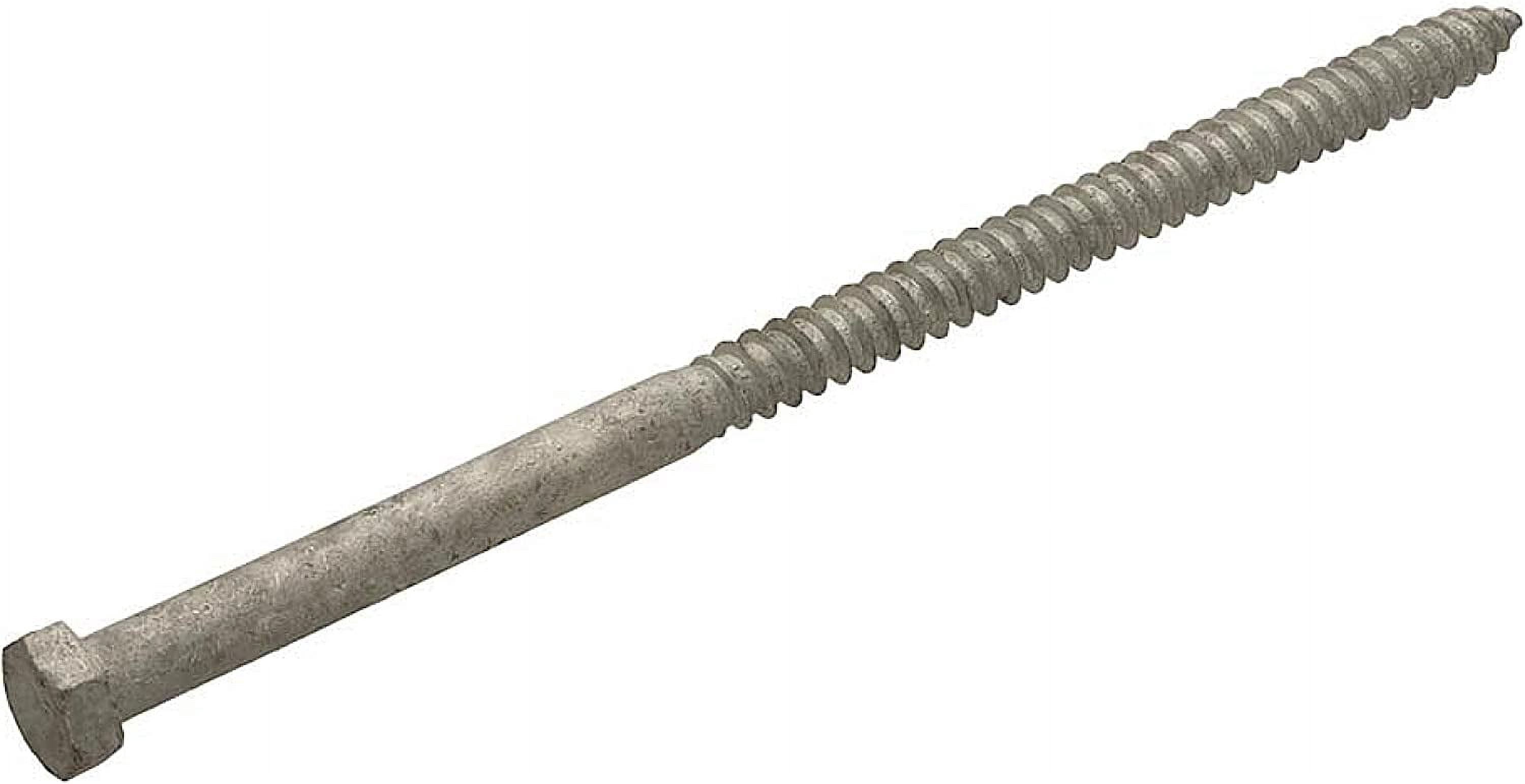 10830 1/4 Inch x 5 Inch Hot Dipped Galvanized Steel Hex-Head Lag Screws ...