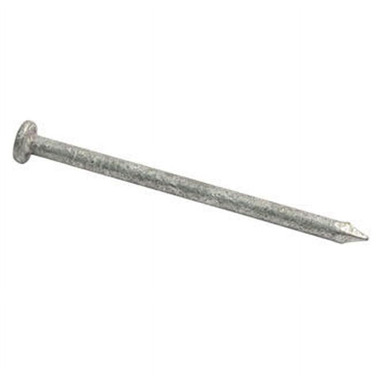 10D Nails Galvanized Common - 50 lbs - Walmart.com