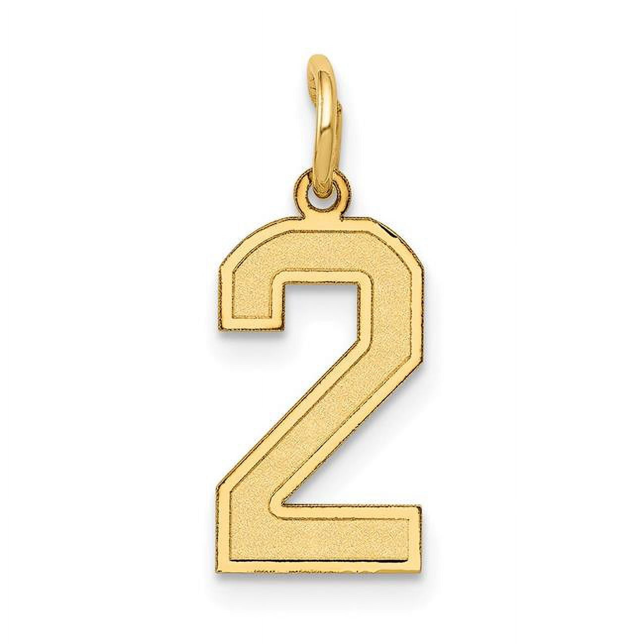 10K Small Satin Number 2 Charm - Walmart.com