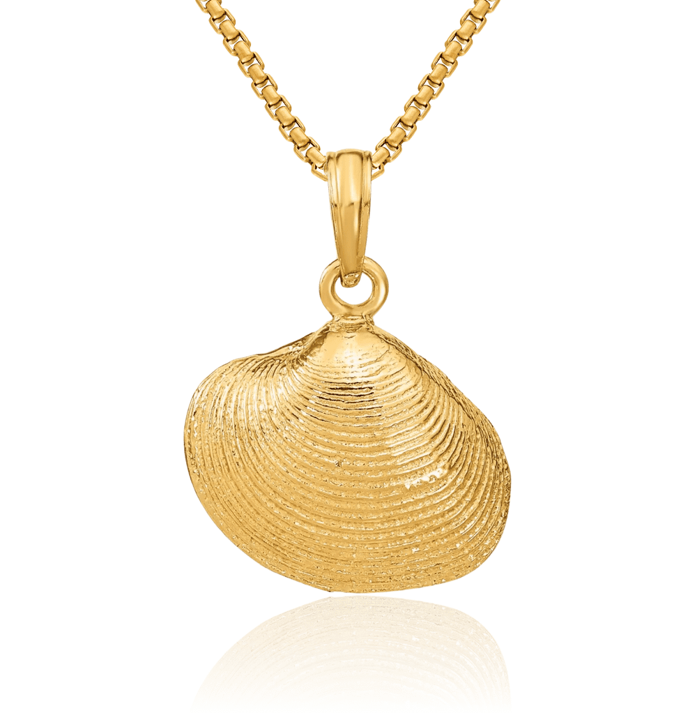 10K Solid Yellow Gold Medium Clam Shell Necklace Chain Pendant Charm ...