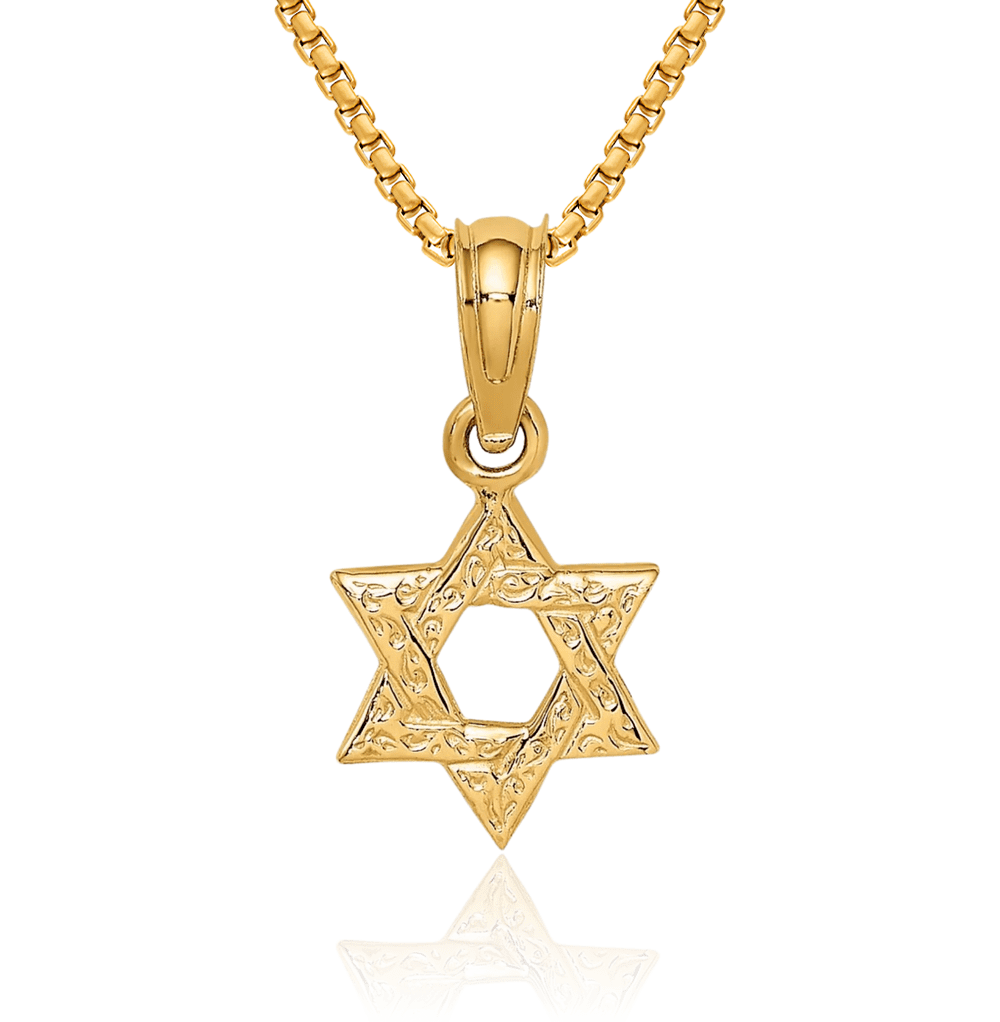 10K Solid Yellow Gold Star of David Jewish Magen Necklace Judaica ...