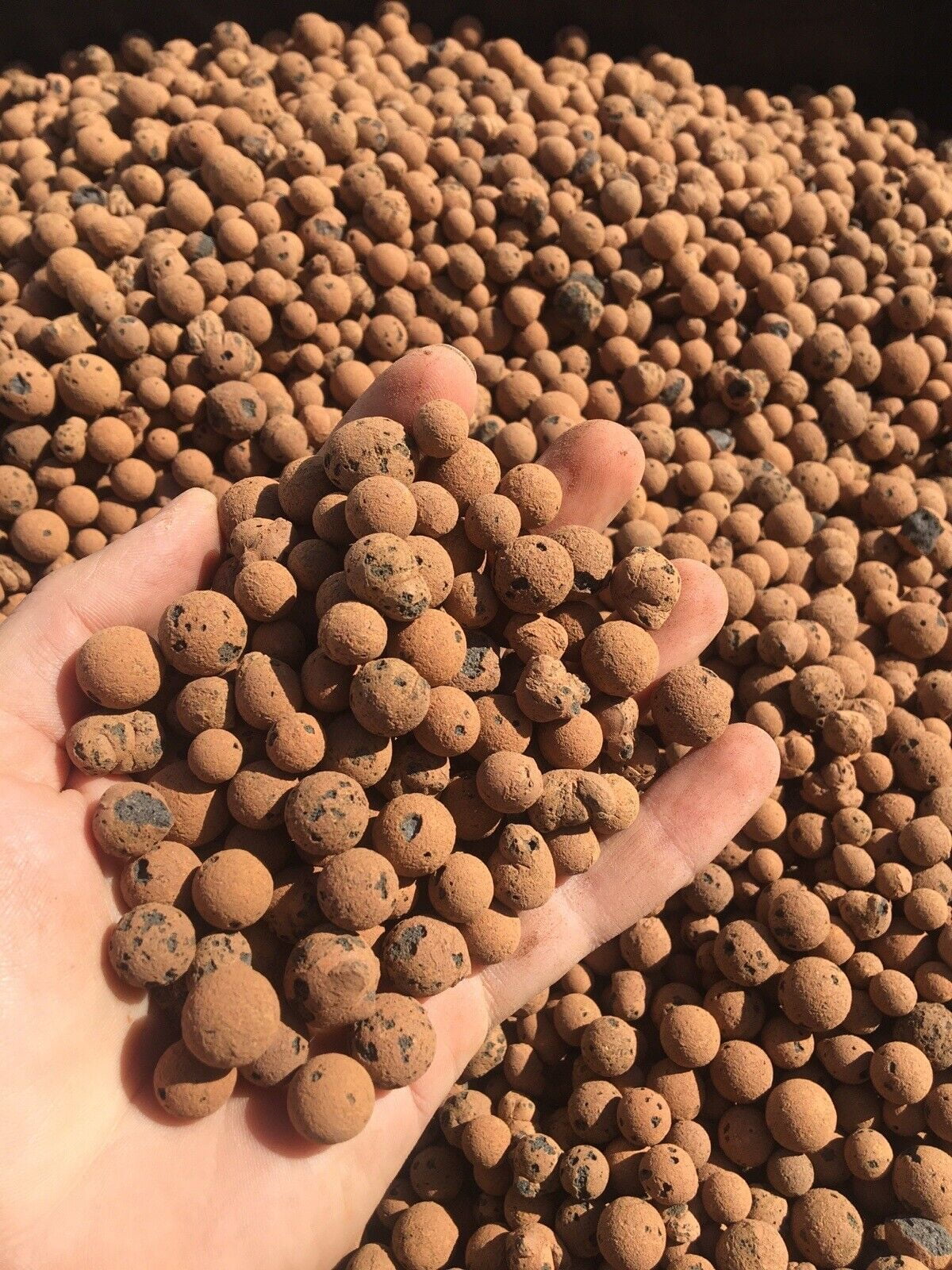 10L (~11lb) Clay Pebbles Grow Media Expended Rocks Hydroponic Aquaponic ...