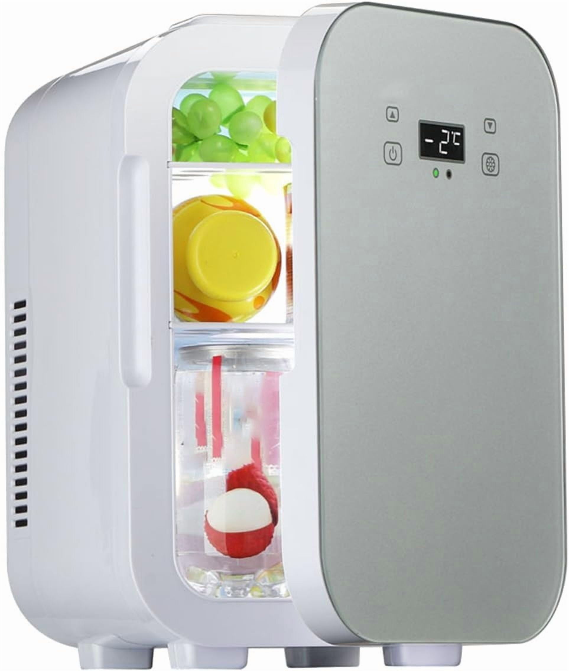 10L Mini Fridge For Bedroom, Skincare Fridge With Compartments, Single ...