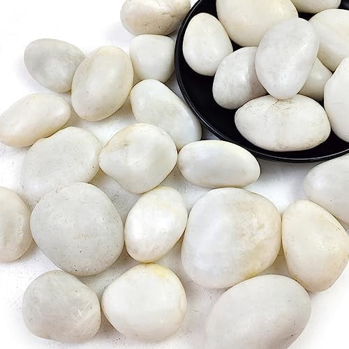 10LB White River Rocks - 2-3 inch High Polished Decorative Pebbles for ...