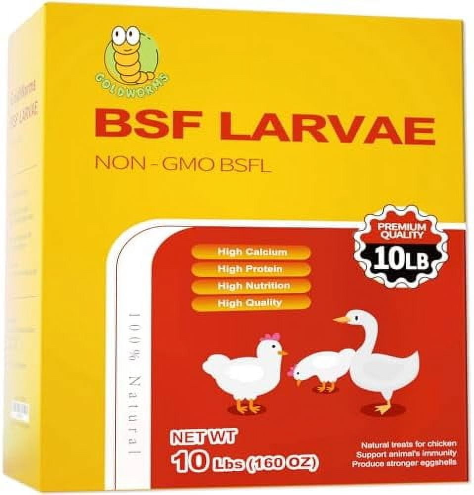 10LBS Dried Black Solider Fly Larvae of Chicken Treats - BSF Larvae 85x ...