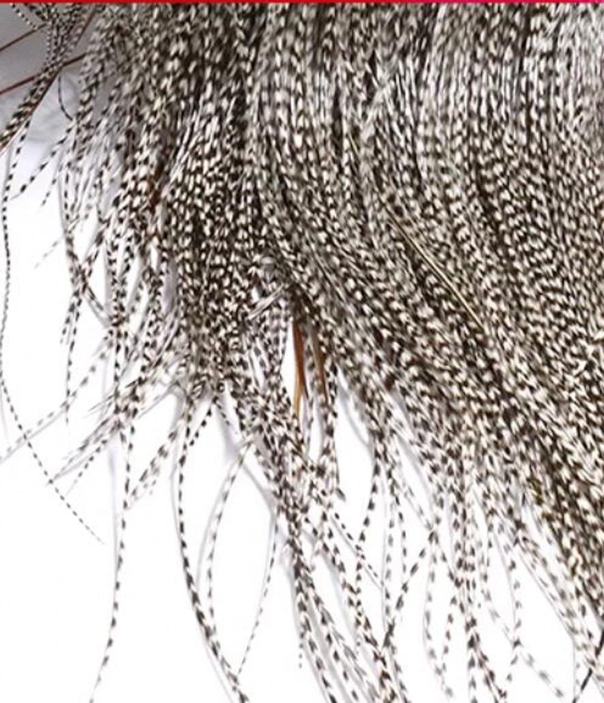 Grizzly Hackle Feathers