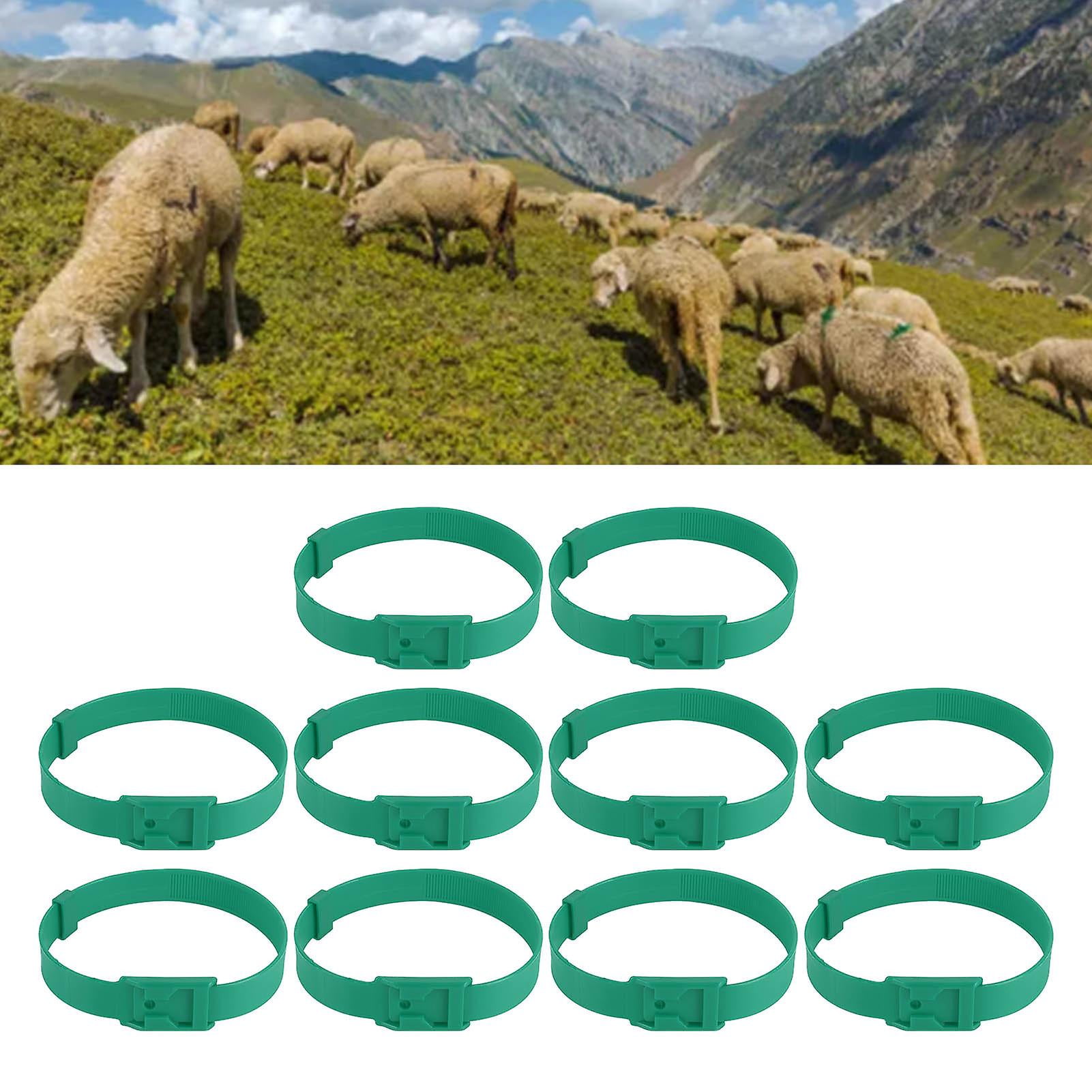10PCS Goat Collar PU 23 Inch Adjustable Livestock Collar For Farm ...