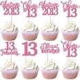 10PCS Hot Pink 13th Birthday Cupcake Toppers, Vintage 2013, Official ...