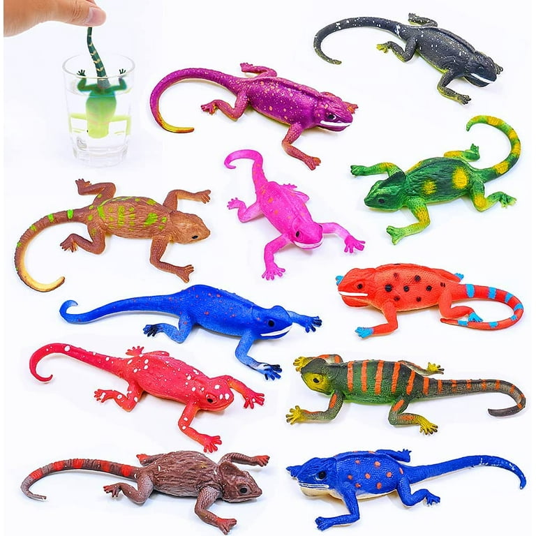 Color Changing Lizards Petco