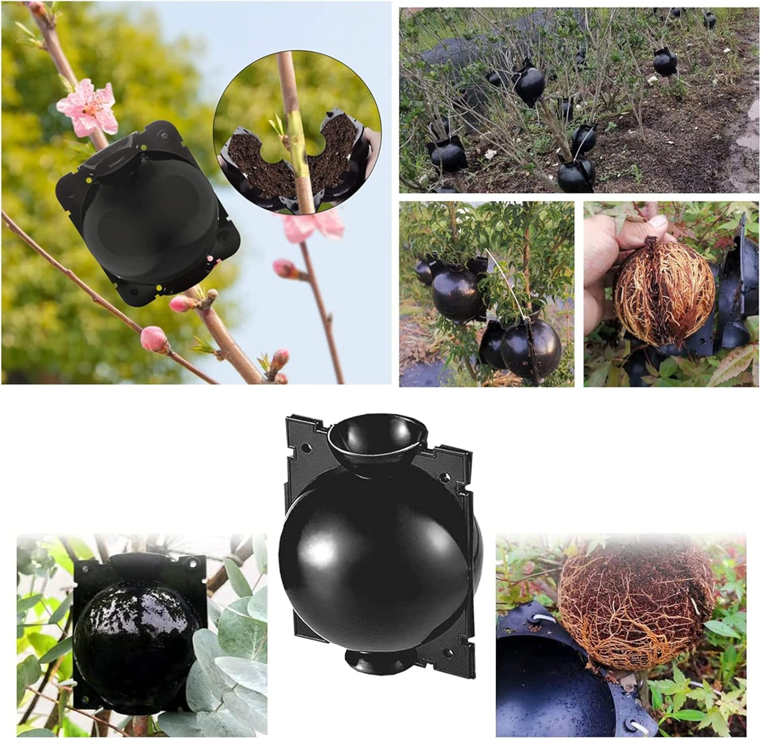 10PCS Plant Root Growing Box, 2025 New Air Layering Propagation Kit ...