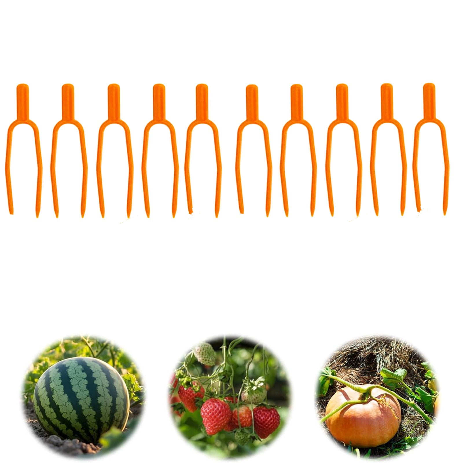 10PCS Plastic Plant Fixing Clips, Gardening Strawberry Support Clips ...