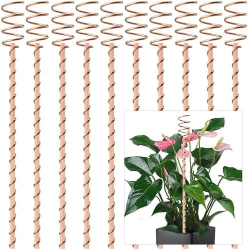 10Pack Electroculture Plant Stakes, 12" Electroculture Copper Gardening ...