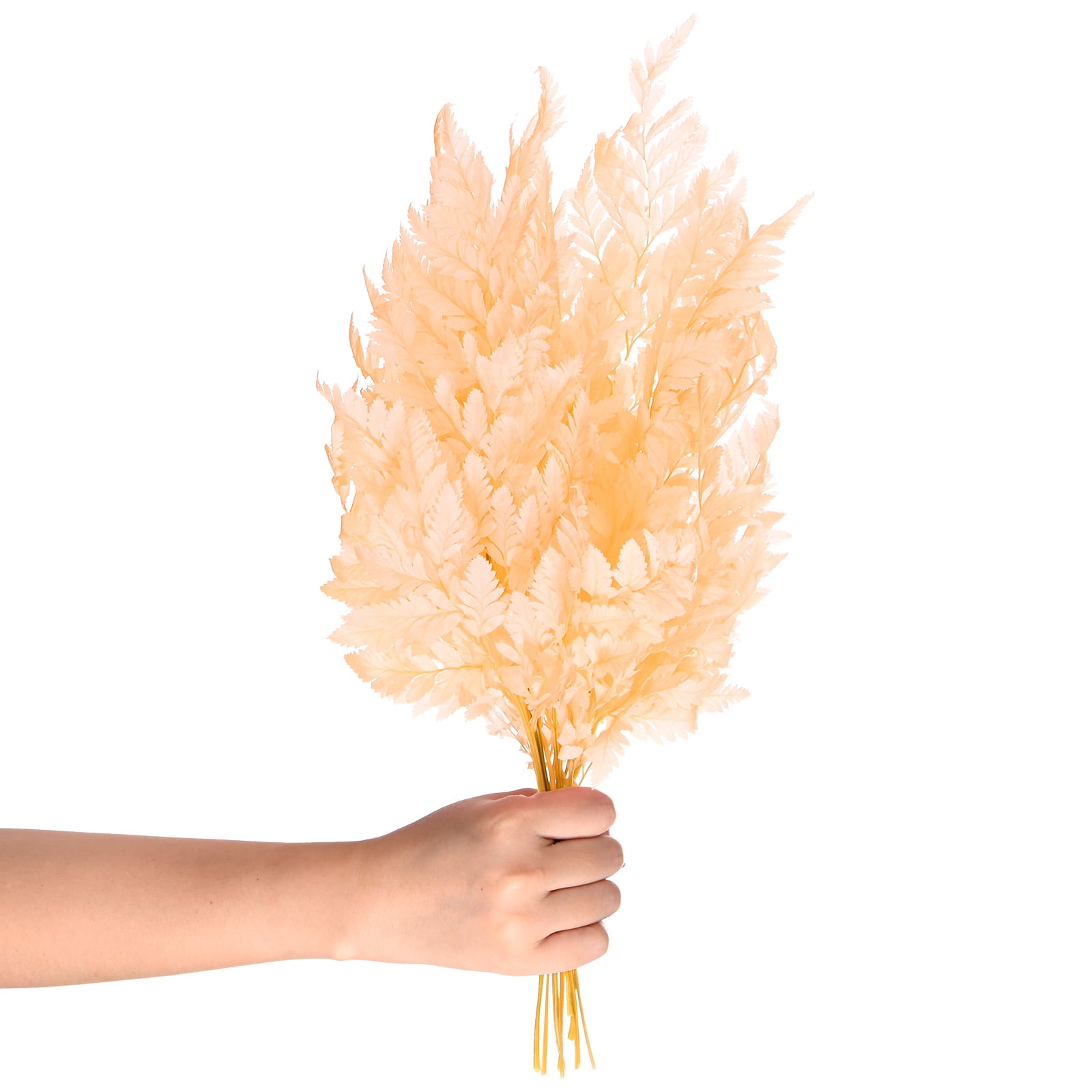 10Pack Fern, 15" Natural Dried Greenery with Stems for Resin Home ...