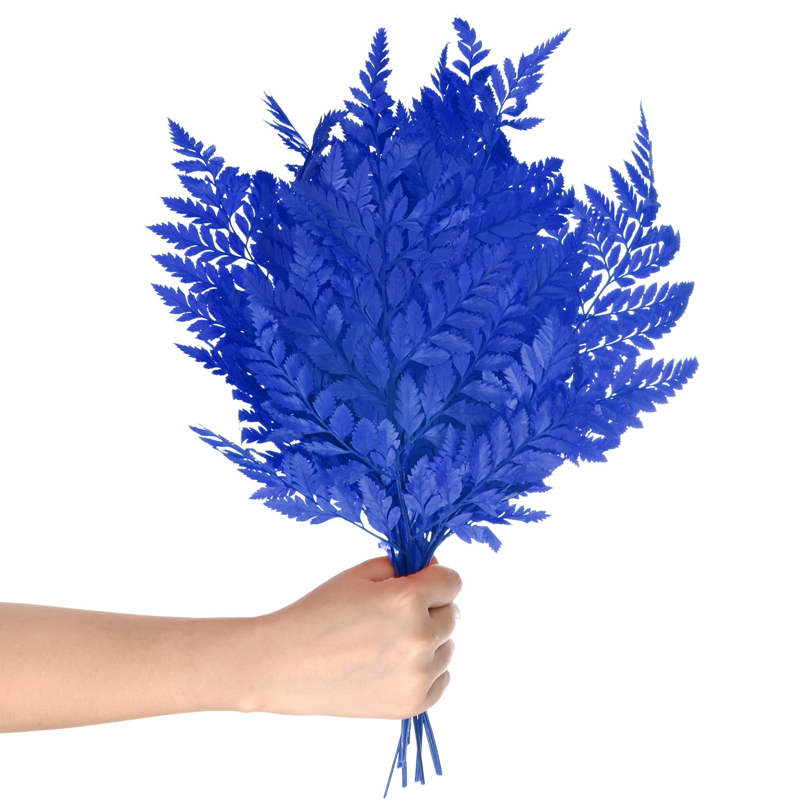 10Pack Fern, 15" Natural Dried Greenery with Stems for Resin Home ...