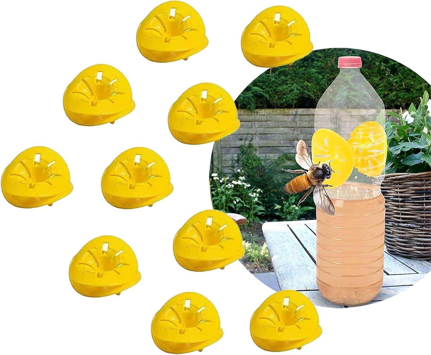 10Pack Hornet Traps Outdoor Hanging Indoor Outdoor Reusable Wasp Traps ...