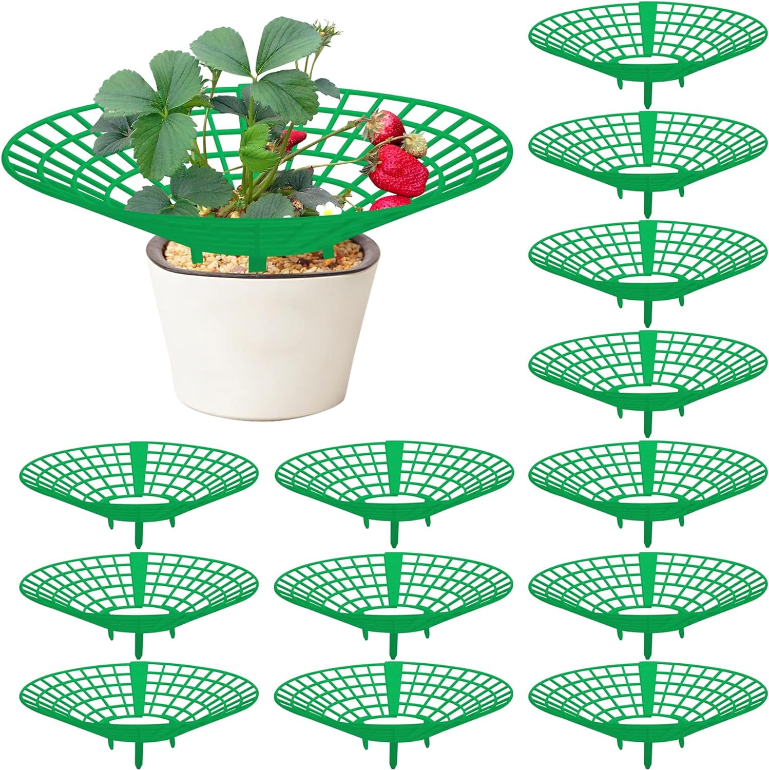 10Pcs/14Pcs Strawberry Plant Supports, Strawberry Plant Stand with 3 ...