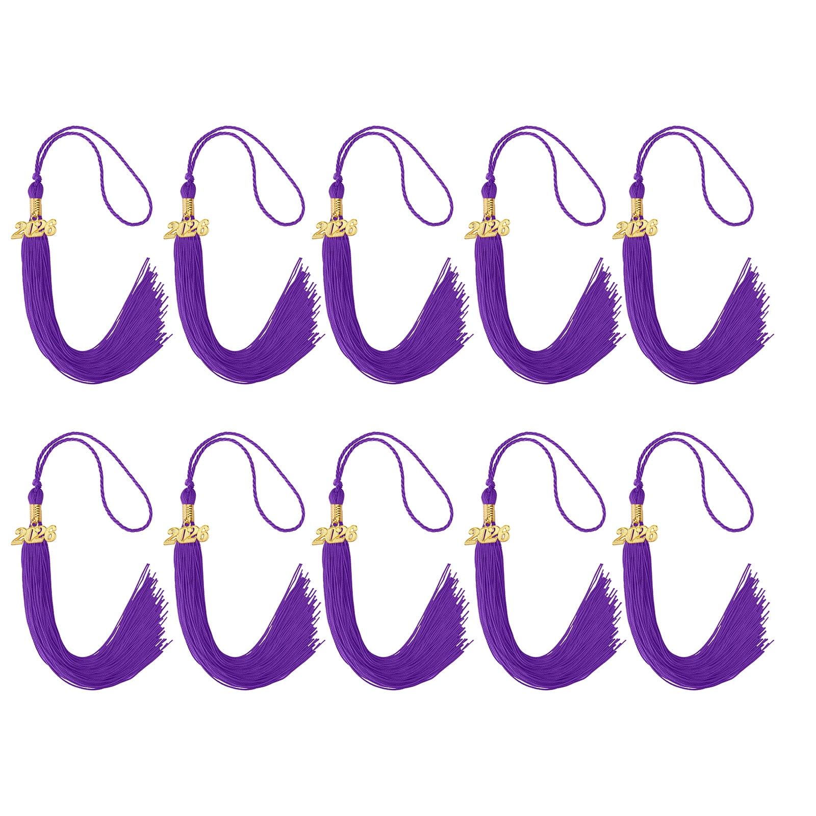 10Pcs 2026 Graduation Tassels Class of 2026 Graduation Cap Tassels ...