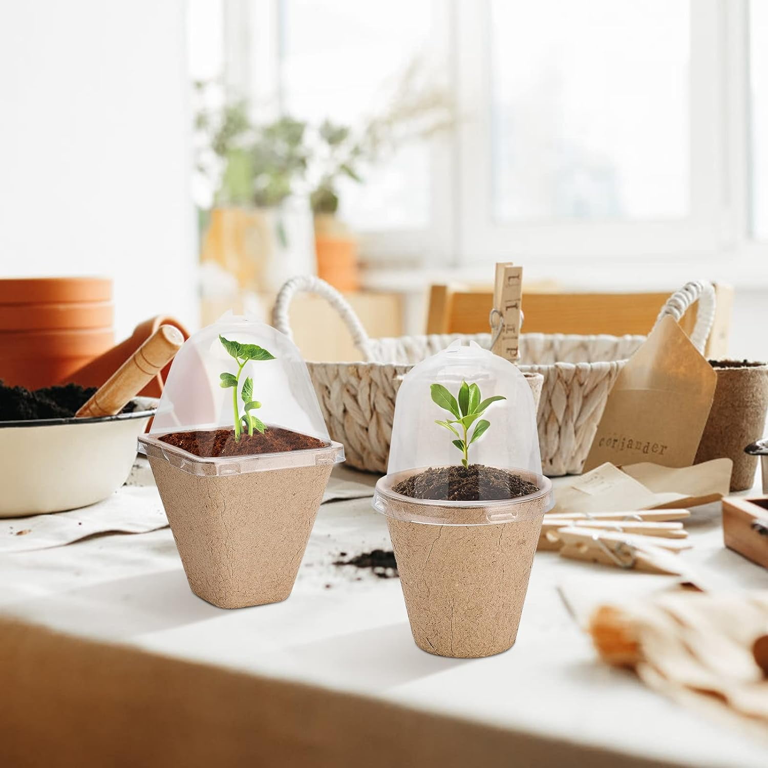 10Pcs 3.15in Peat Pots, Seed Starter Pots, Biodegradable Planter ...