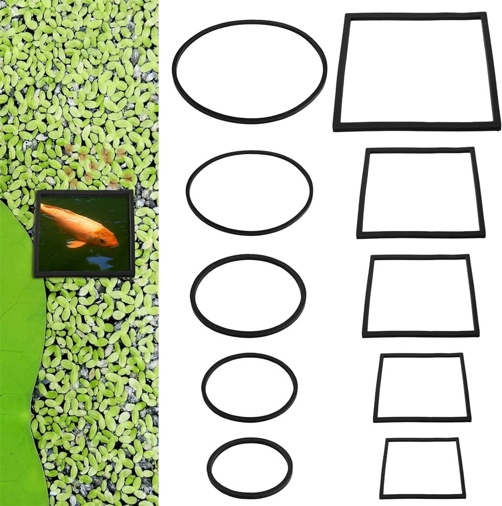 10Pcs Aquarium Floating Plant Corral,5 Sizes Round & Square Fish ...