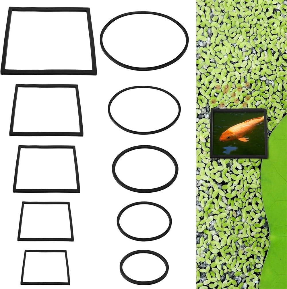 10Pcs Aquarium Floating Plant Corral,5 Sizes Round & Square Fish ...