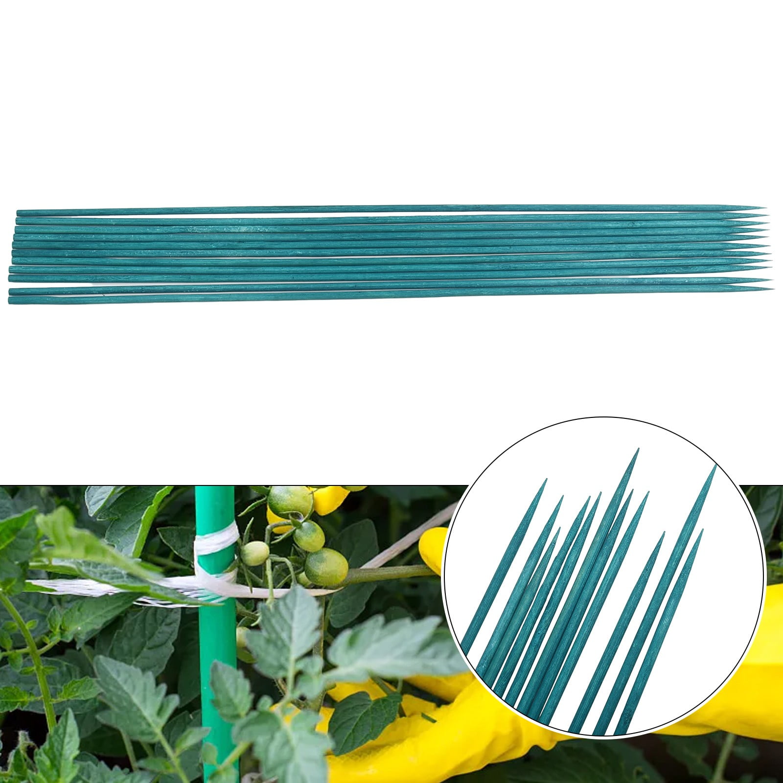 10Pcs Bamboo Green Sticks Plant Support Flower Stick Orchid Rod Plant ...