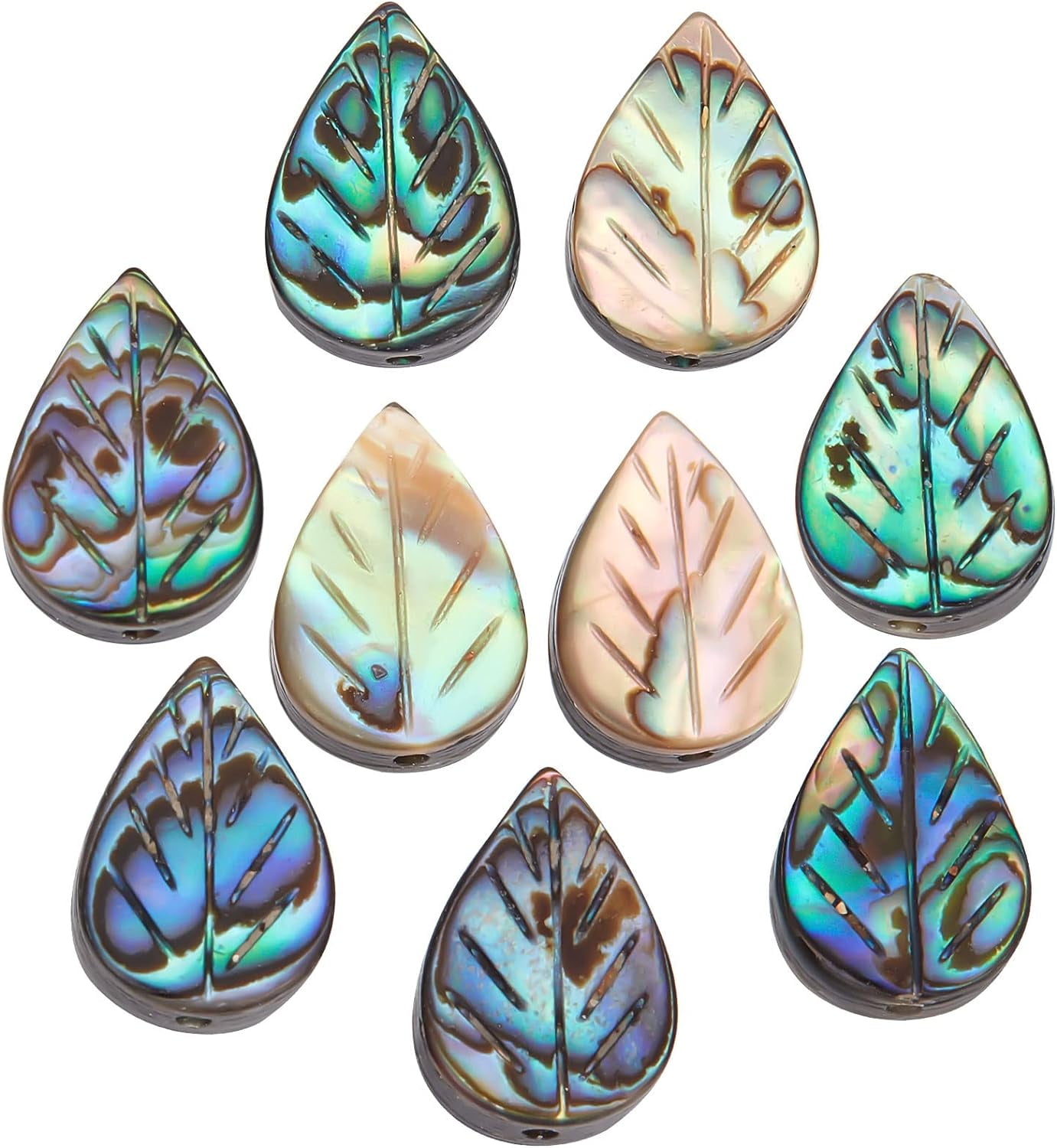 10Pcs/Box Abalone Shell Beads Leaf Shape Paua Shell Beads Colorful Drop ...