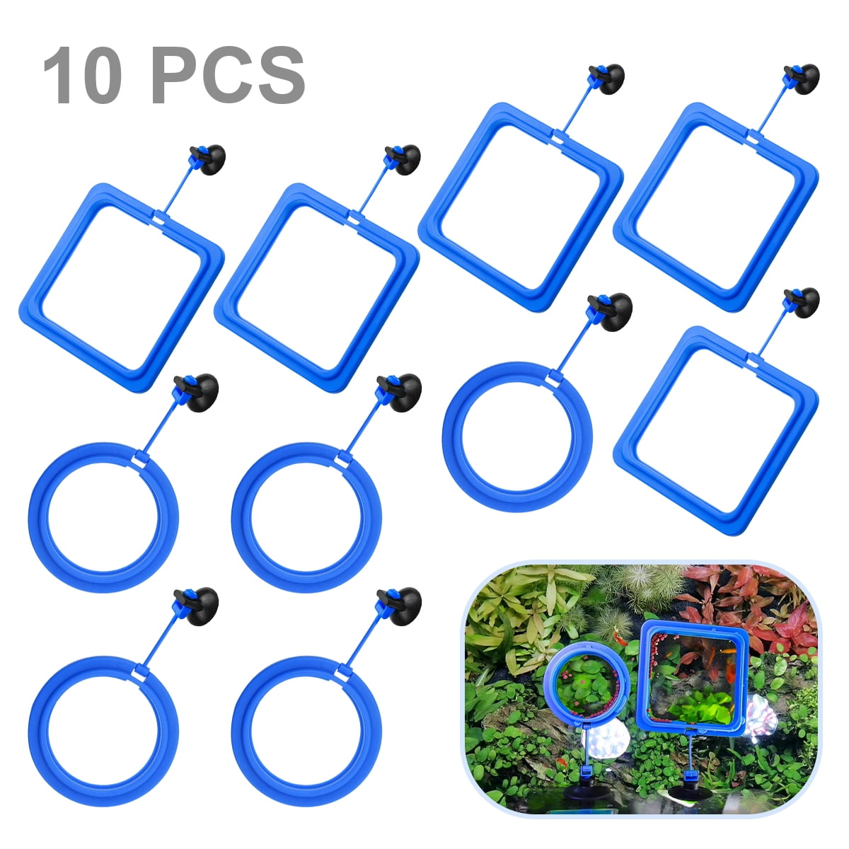 10Pcs Circle and Square Shape Fish Feeding Ring, Floating Food Feeder ...