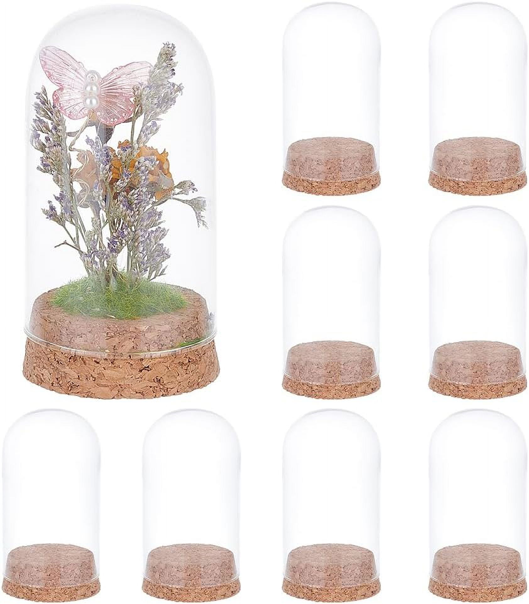 10Pcs Dome Decorative Jars 1.8x3.5inch Glass Display Dome Cloche Glass ...
