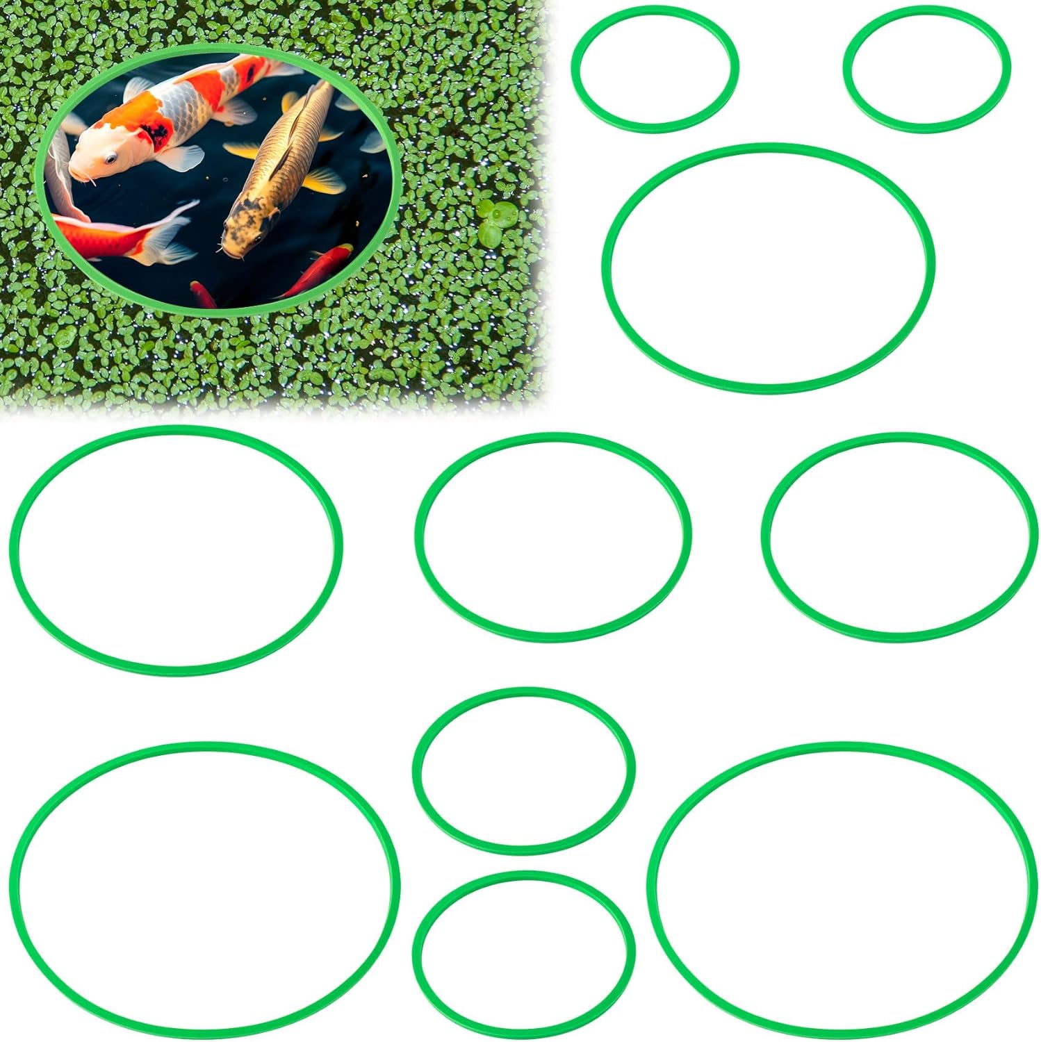 10Pcs Fish Feeding Rings, Round Floating Aquarium Plant Corral, Fish ...